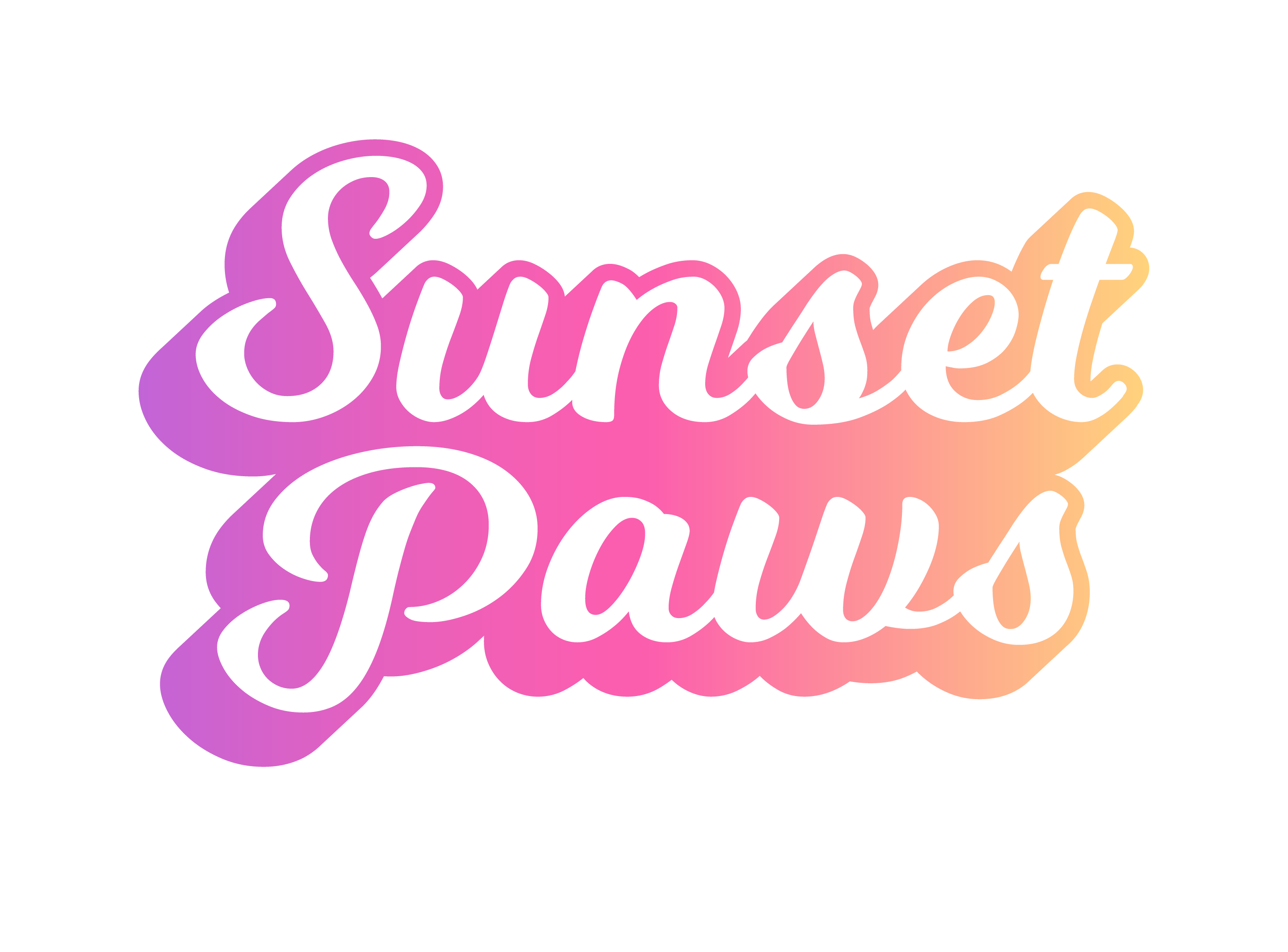 Sunset Paws